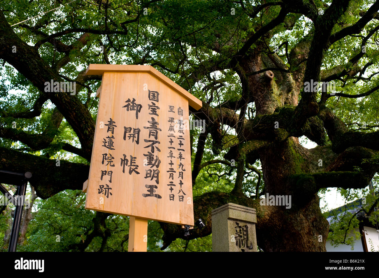 Tree and sign in Kyoto, Japan Stock Photo - Alamy