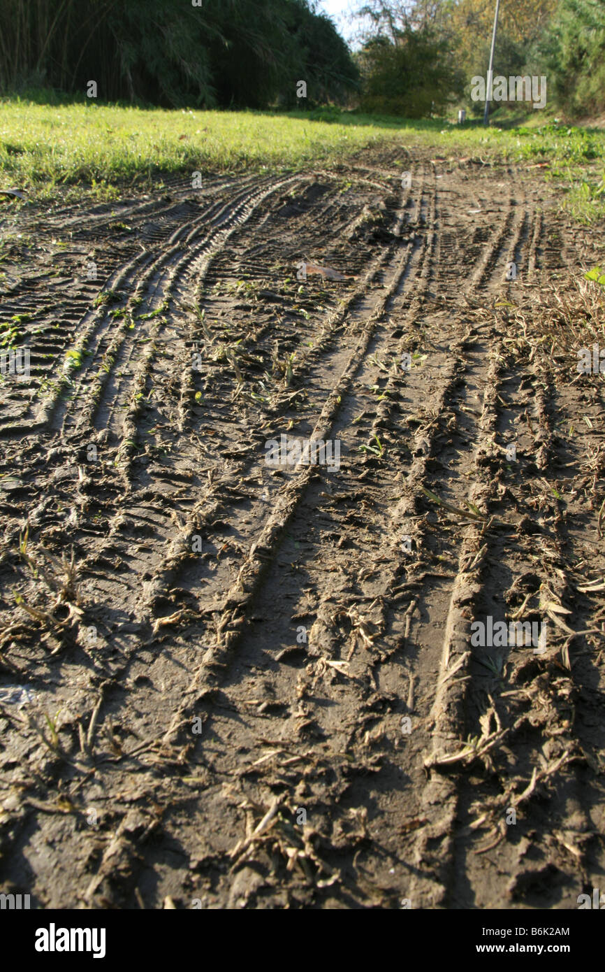 car tyre tracks crossing mud in field in country Stock Photo - Alamy