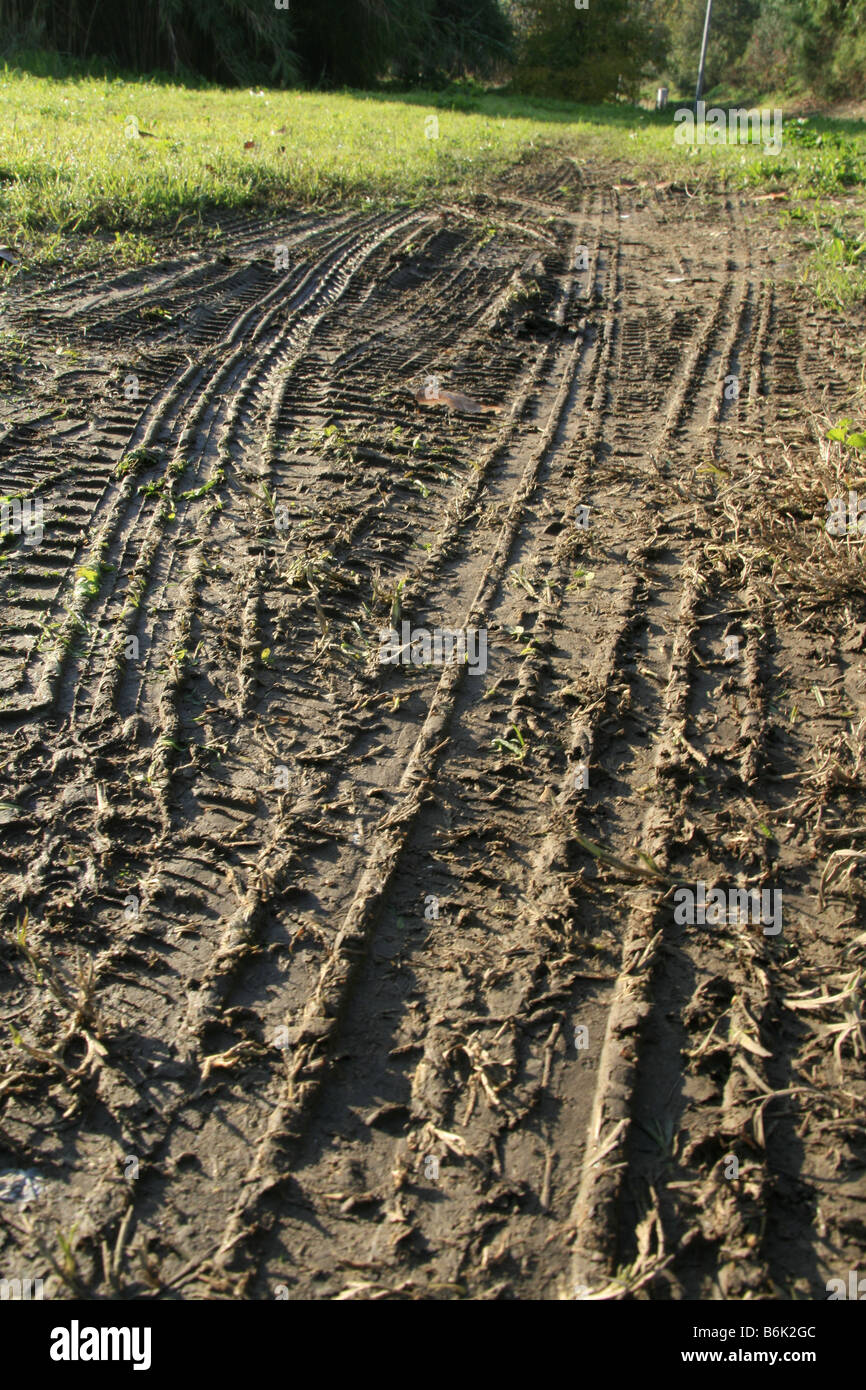 car tyre tracks crossing mud in field in country Stock Photo - Alamy