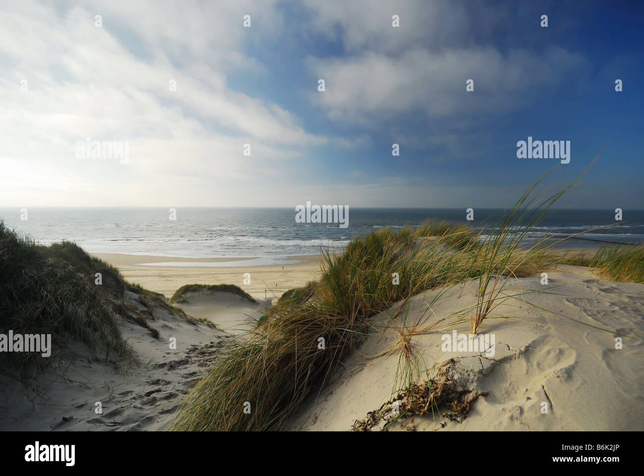 Dunes at schoorl hi-res stock photography and images - Alamy