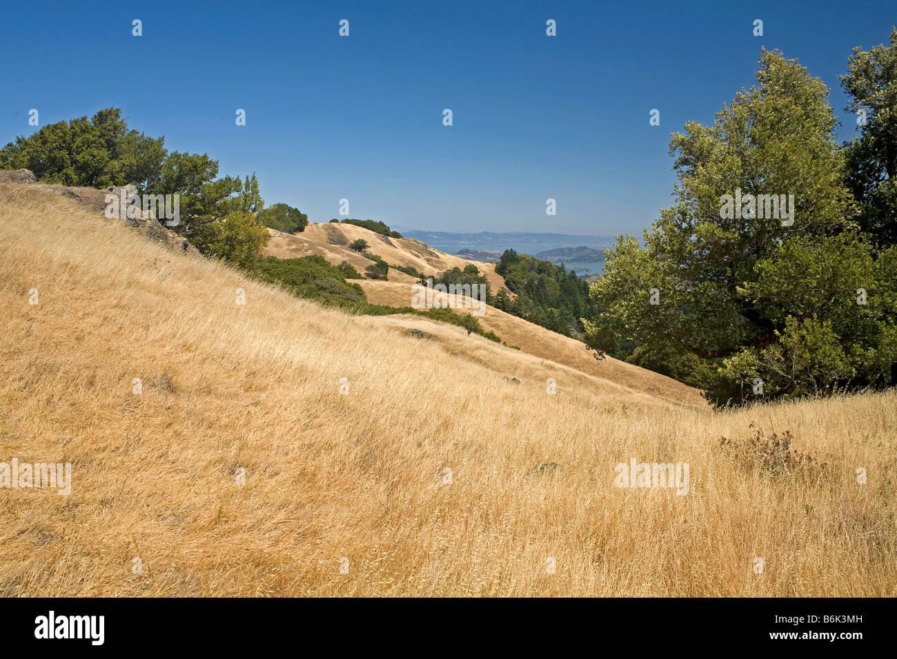 CALIFORNIA Grasslands on the rolling hills of Mount Tamalpais with San ...