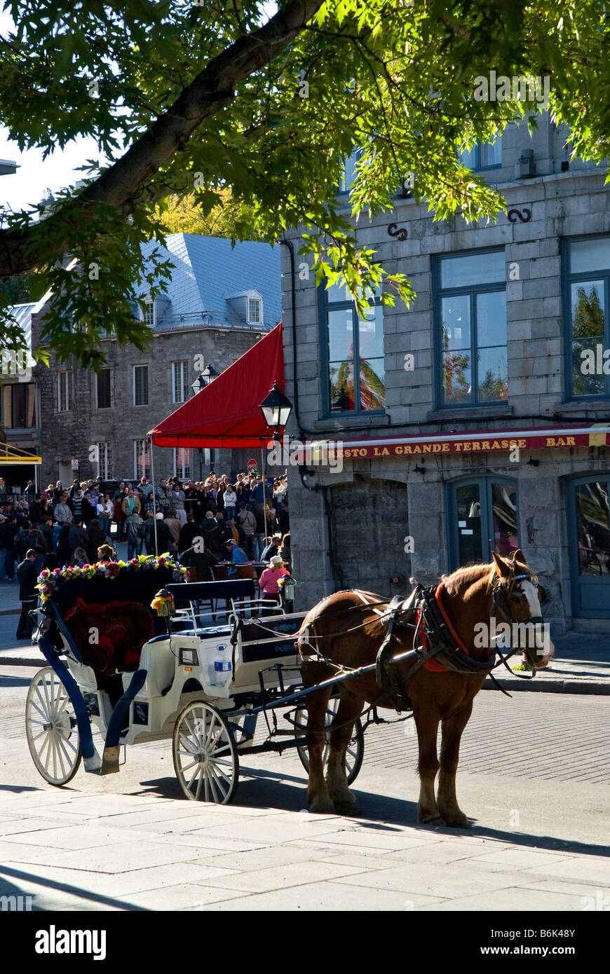 Carriage waiting for Tourists Old Montreal Quebec canada Stock Photo ...