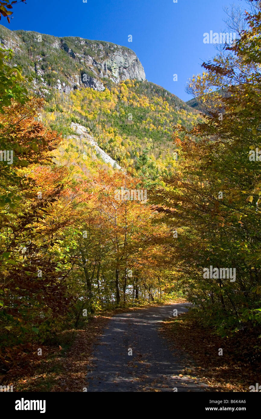 Scenic view of fall foliage and walking path in the Franconia Notch ...