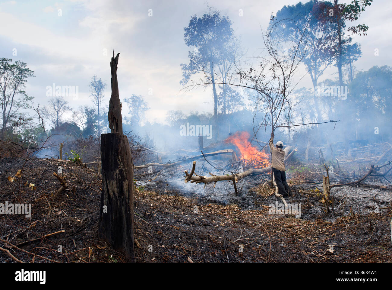 Deforestation environment High Resolution Stock Photography and Images ...