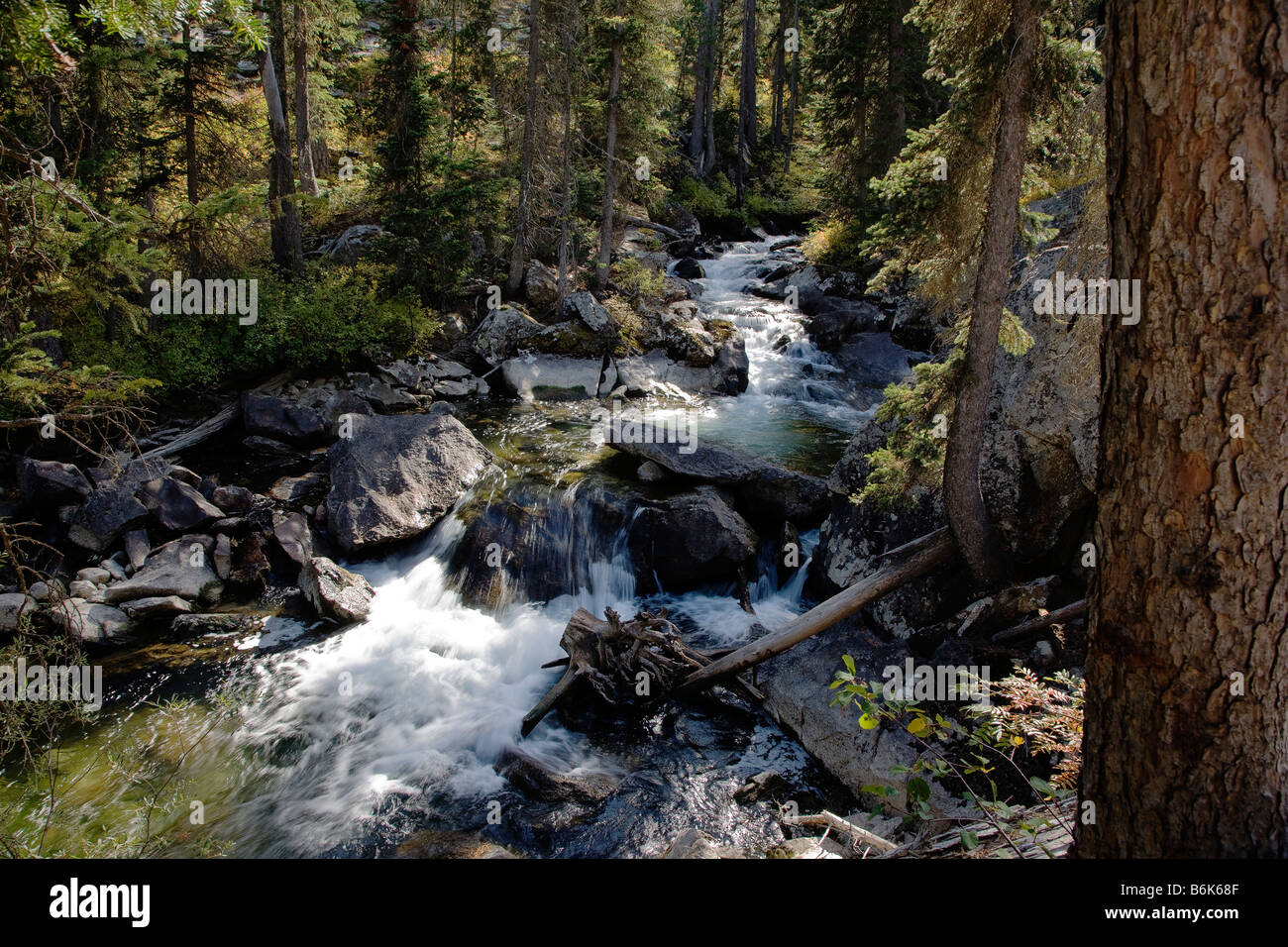 Cascade Creek, Cascade Canyon, Grand Teton National Park,; Wyoming; USA ...