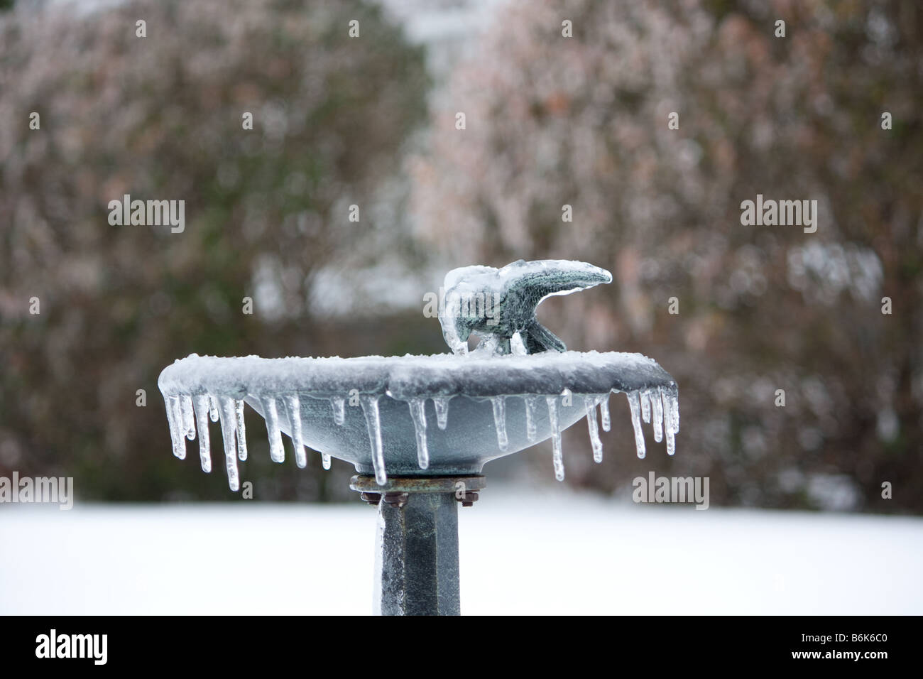 Ice bird bath hi-res stock photography and images - Alamy