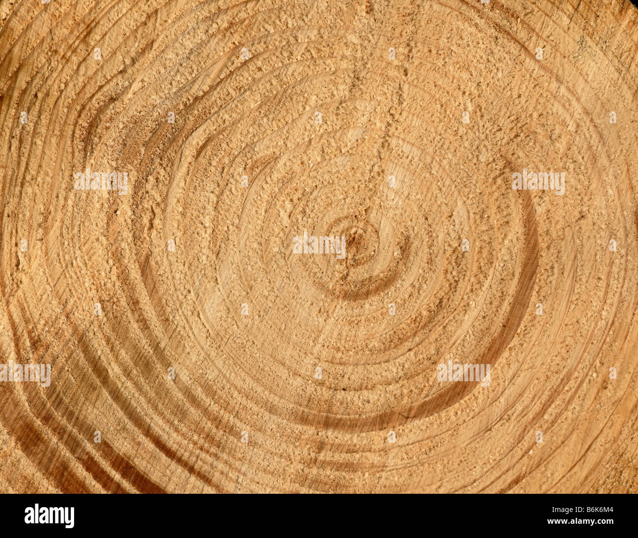 Age circle hi-res stock photography and images - Alamy