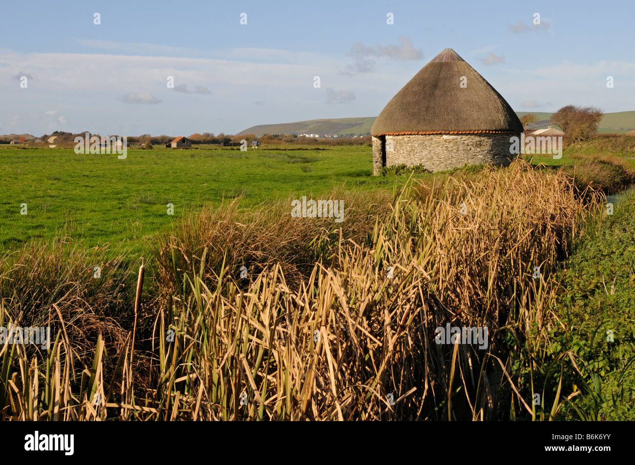 Thatched linhay, or Barn, on Braunton Marsh, Devon Stock Photo - Alamy