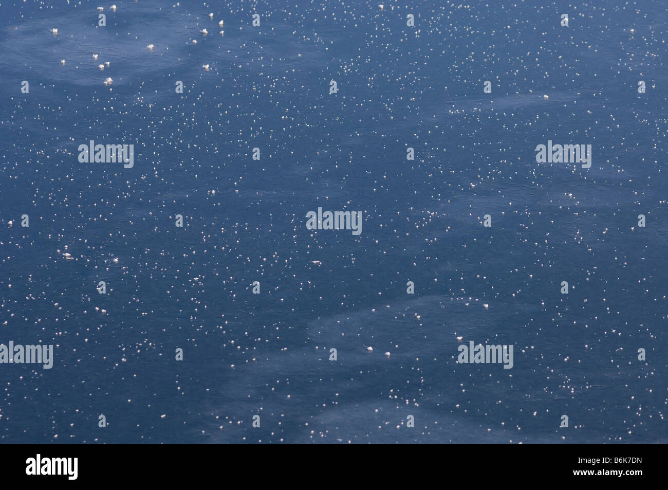 Pack ice forming alaska hi-res stock photography and images - Alamy