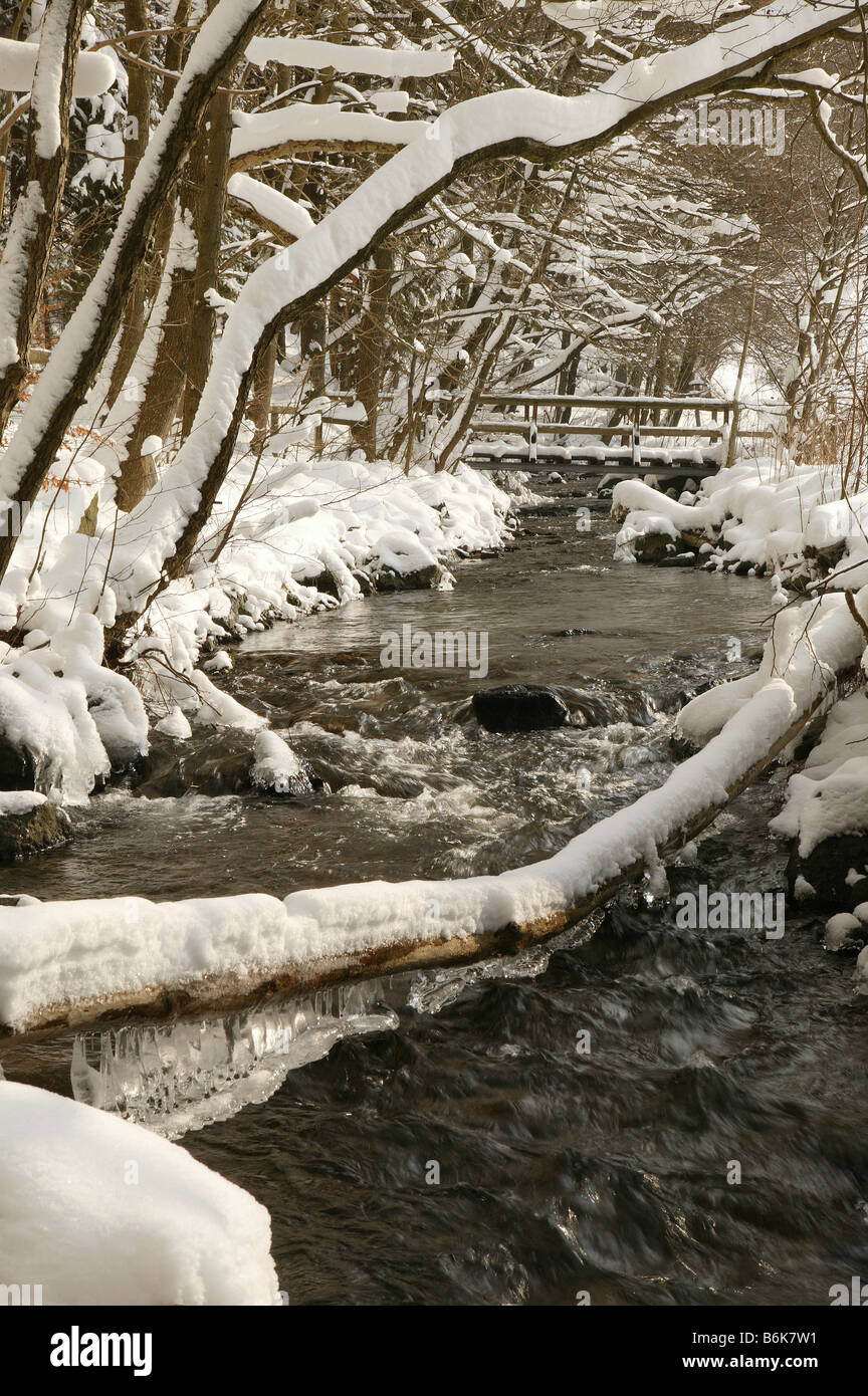 Clean brook hi-res stock photography and images - Alamy