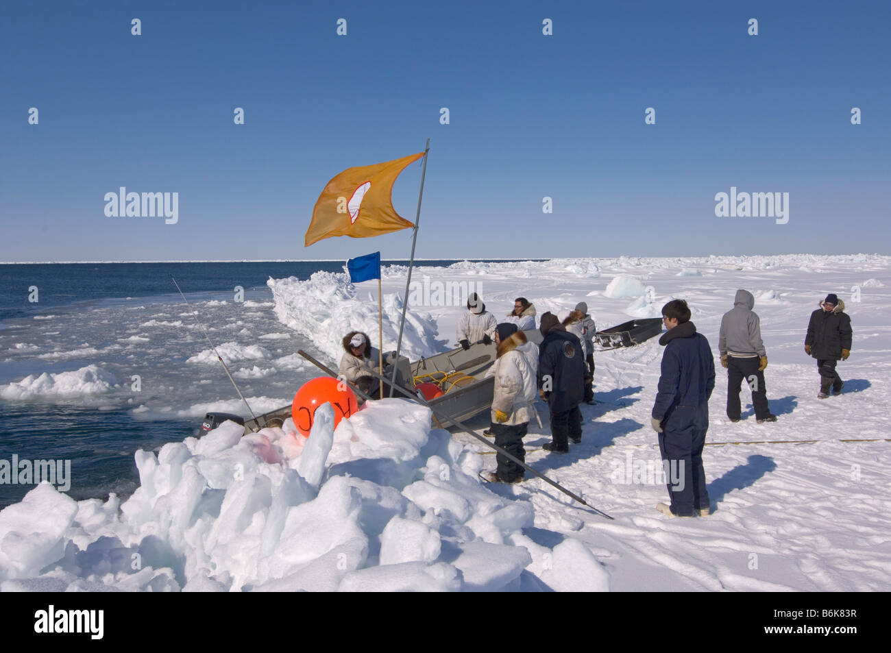 Using a block and tackle pulley system Inupiaq subsistence whalers ...