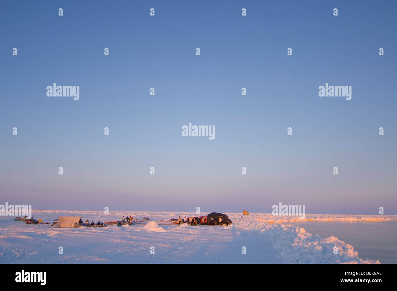 Eskimo muktuk whale blubber hi-res stock photography and images - Alamy
