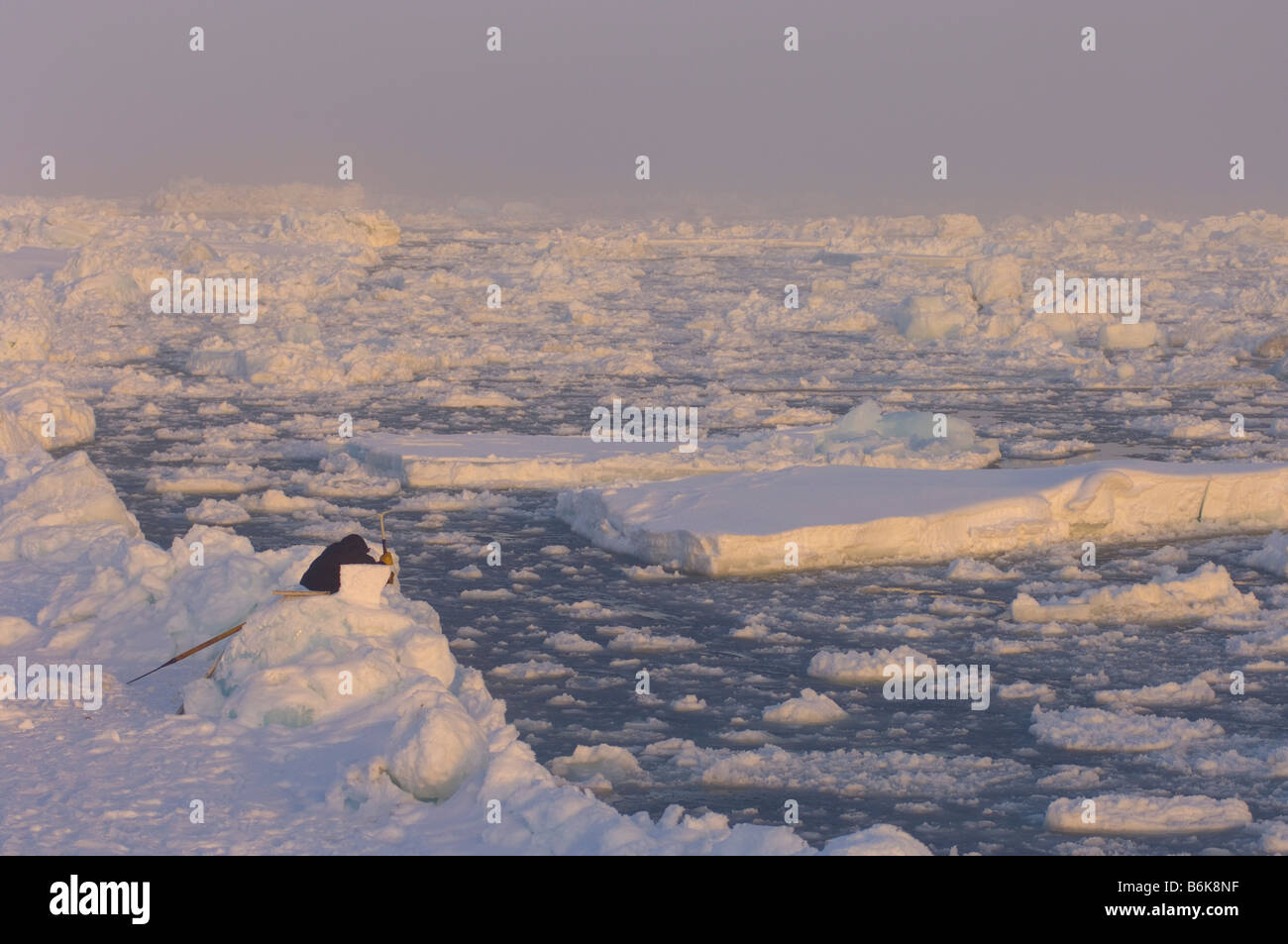 Landscape of sea ice flowing through an open lead in the pack ice ...