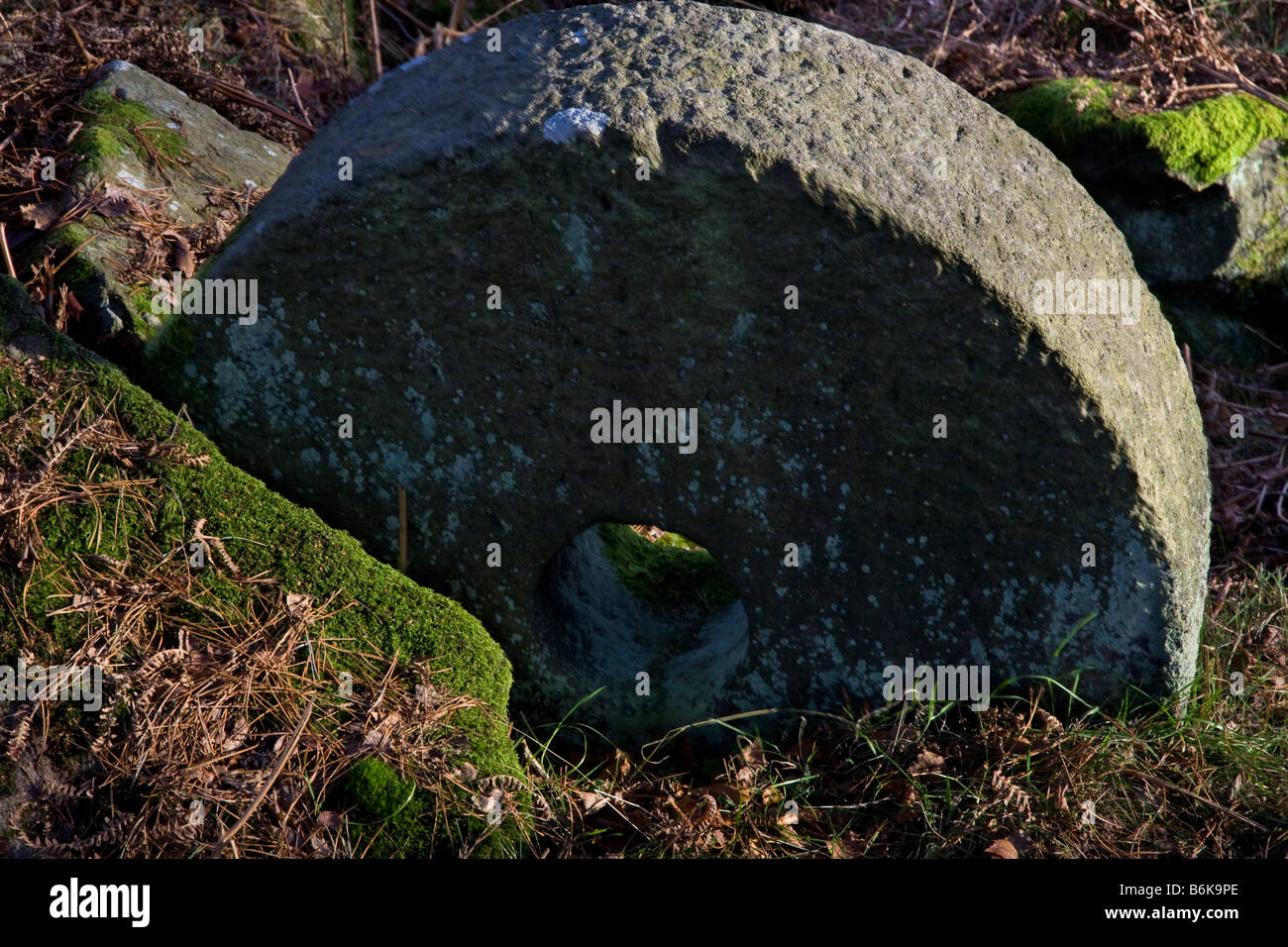 Pulpstone hi-res stock photography and images - Alamy
