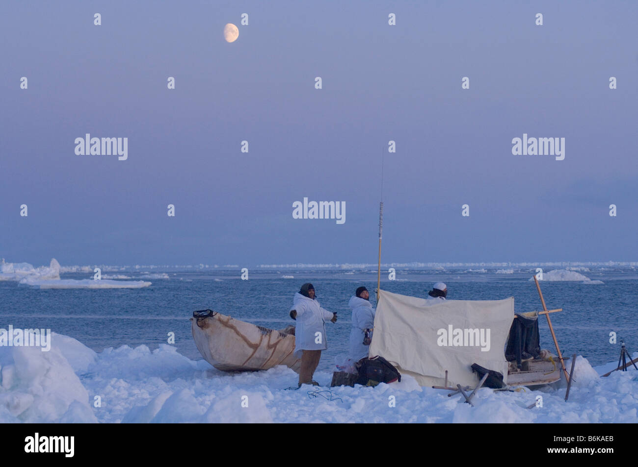 Inupiaq subsistence whaling camp at the edge of an open lead in the ...