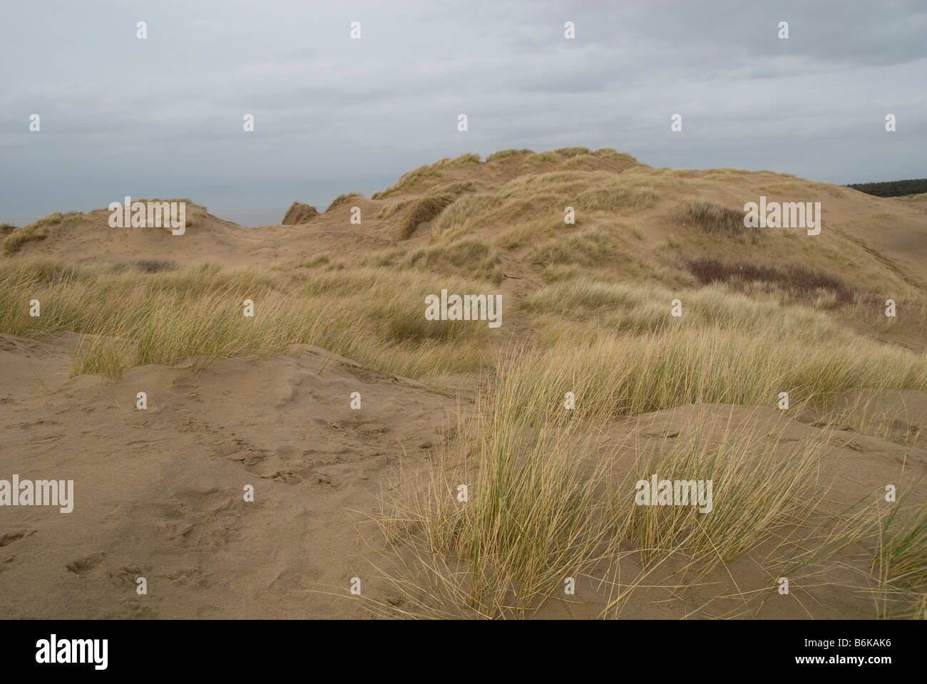 Formby sand hi-res stock photography and images - Alamy