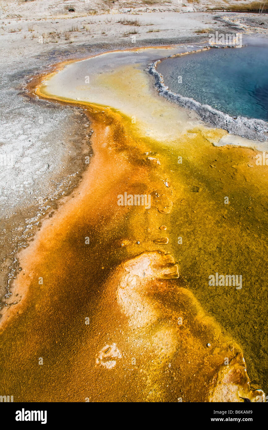Bacterial pool hi-res stock photography and images - Alamy