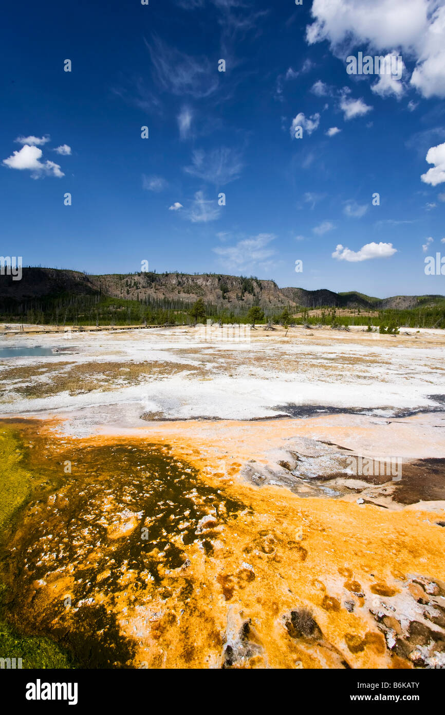 Bacterial pool hi-res stock photography and images - Alamy