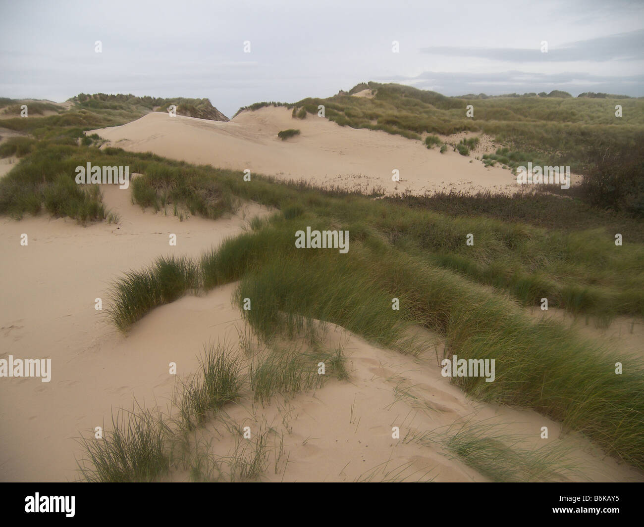 Formby nature reserve hi-res stock photography and images - Alamy