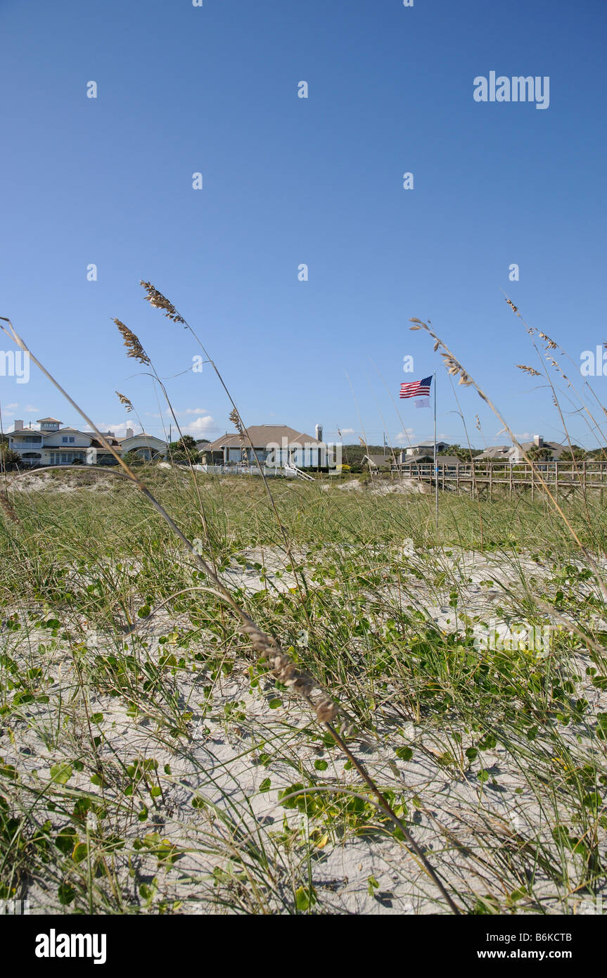 Sea Oats growing on the beach. Amelia Island Florida USA Stock Photo ...