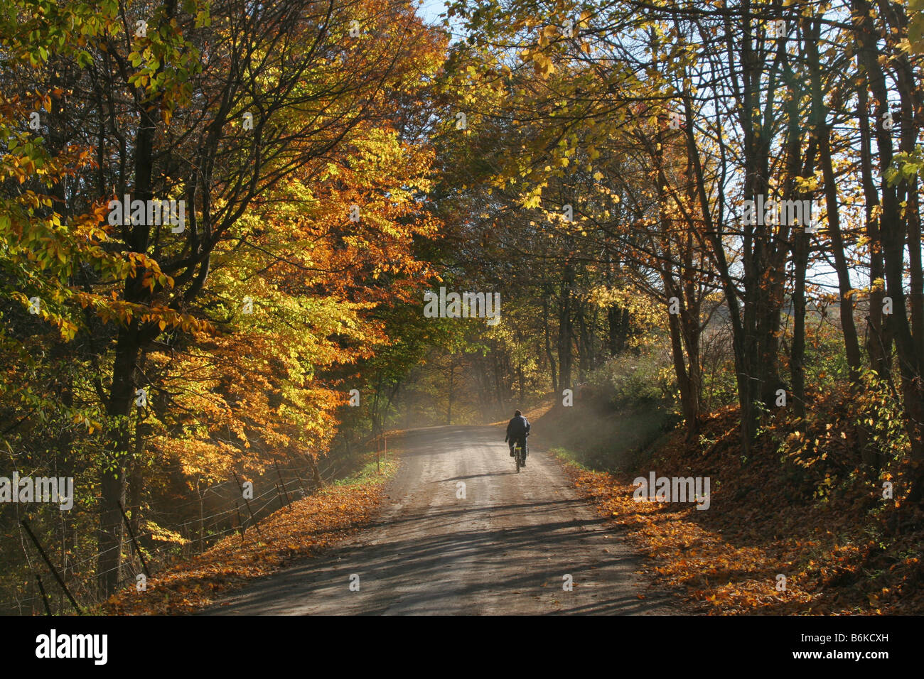 Autumn Road Amish man on bicycle Amish country in central Ohio Stock ...