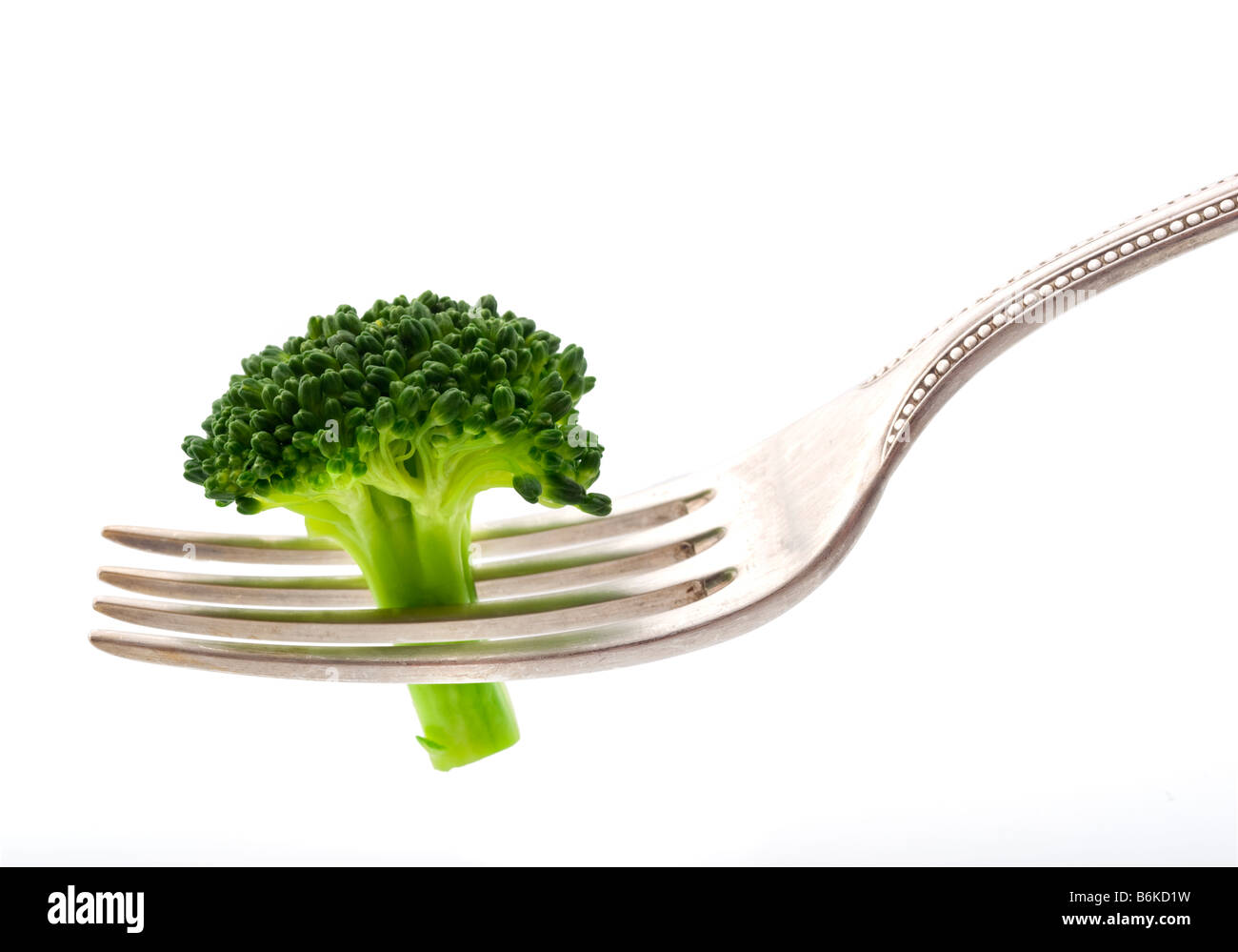 Fresh green spring tree Cut Out Stock Images & Pictures - Alamy