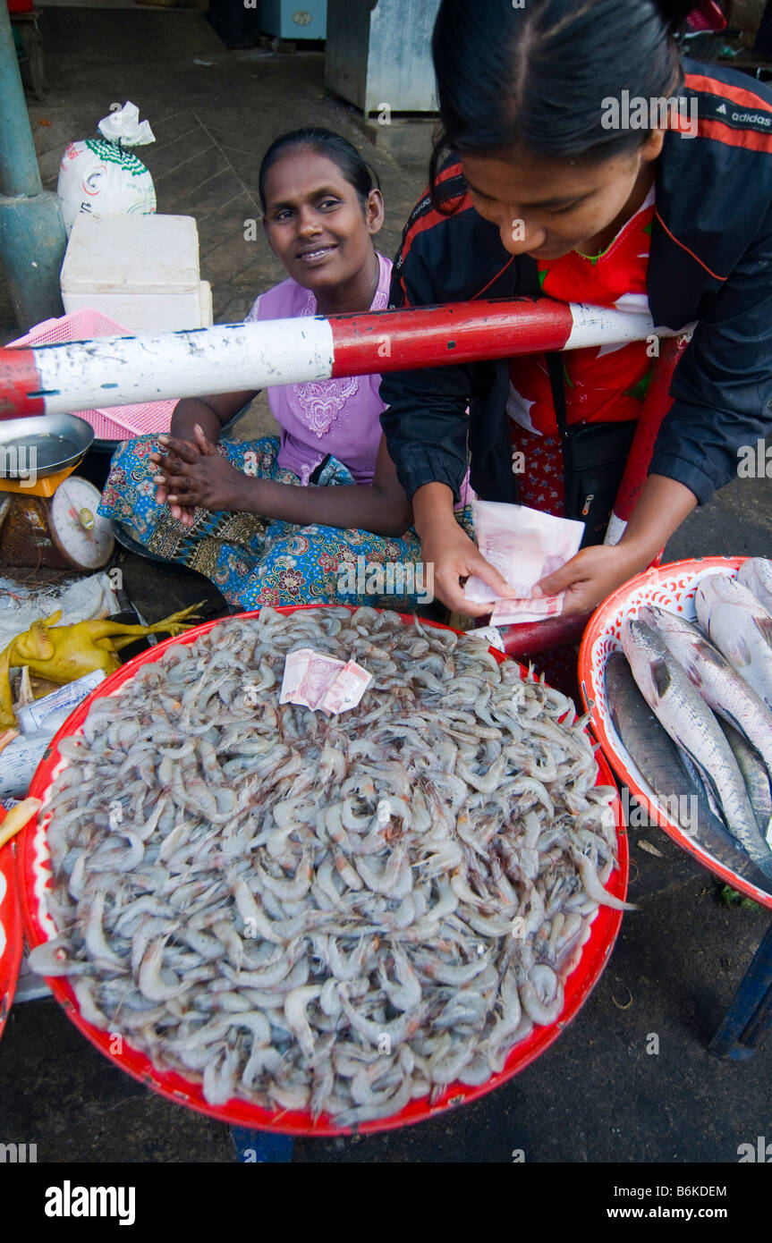 Shrimp vendor hi-res stock photography and images - Alamy