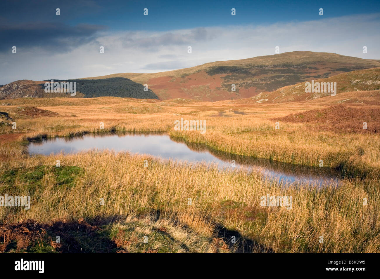 Blind tarn hi-res stock photography and images - Alamy