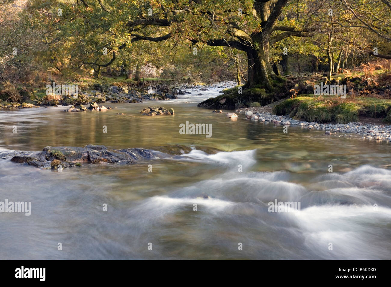 The River Esk flowing through autumn woodland in Eskdale, Cumbria Stock ...