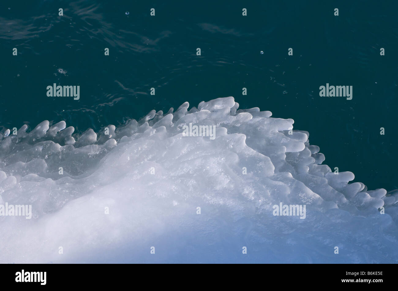 Detail of sea ice formation at the edge of an open lead in the pack ice ...