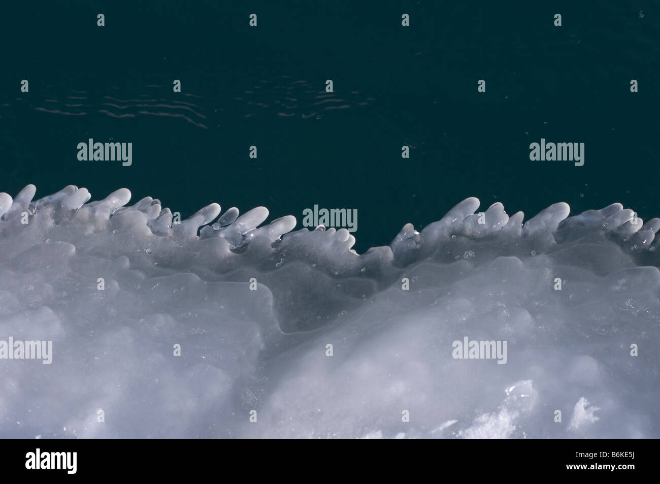 Detail of sea ice formation at the edge of an open lead in the pack ice ...
