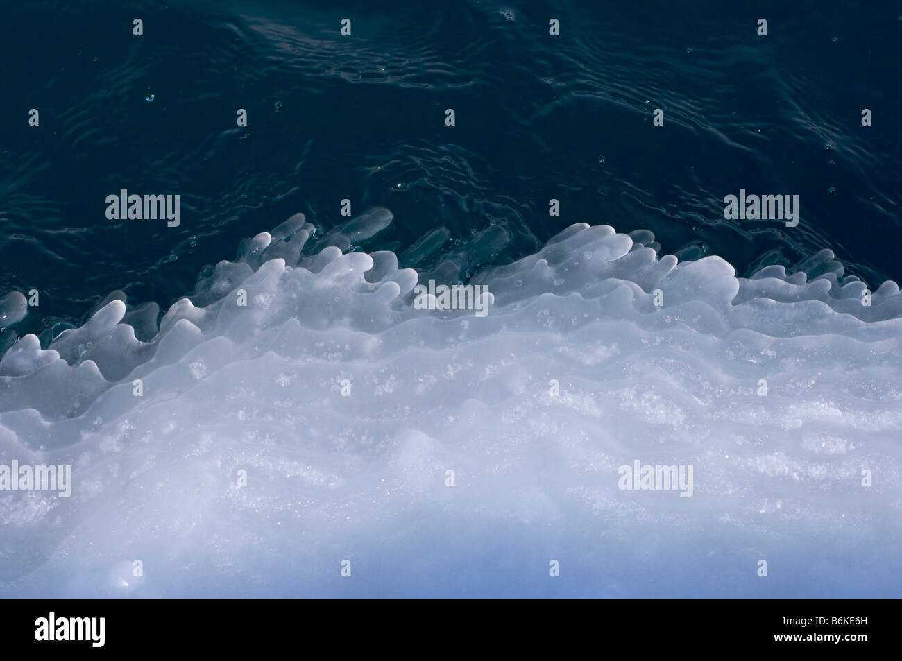 Detail of sea ice formation at the edge of an open lead in the pack ice ...