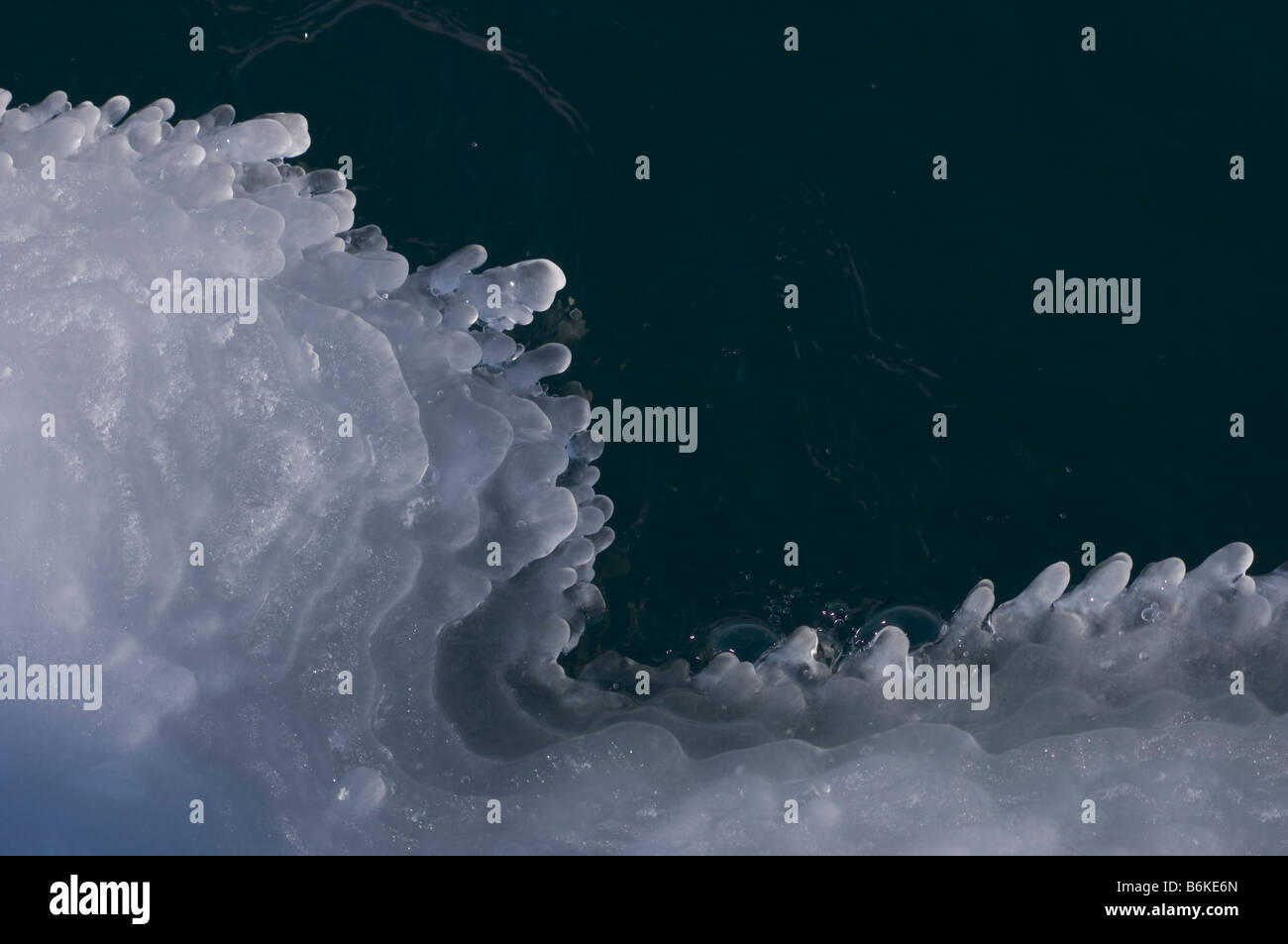 Detail of sea ice formation at the edge of an open lead in the pack ice ...