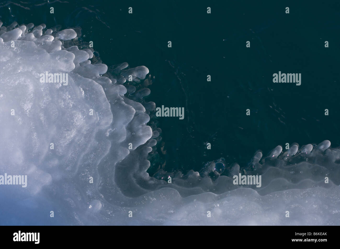Detail of sea ice formation at the edge of an open lead in the pack ice ...