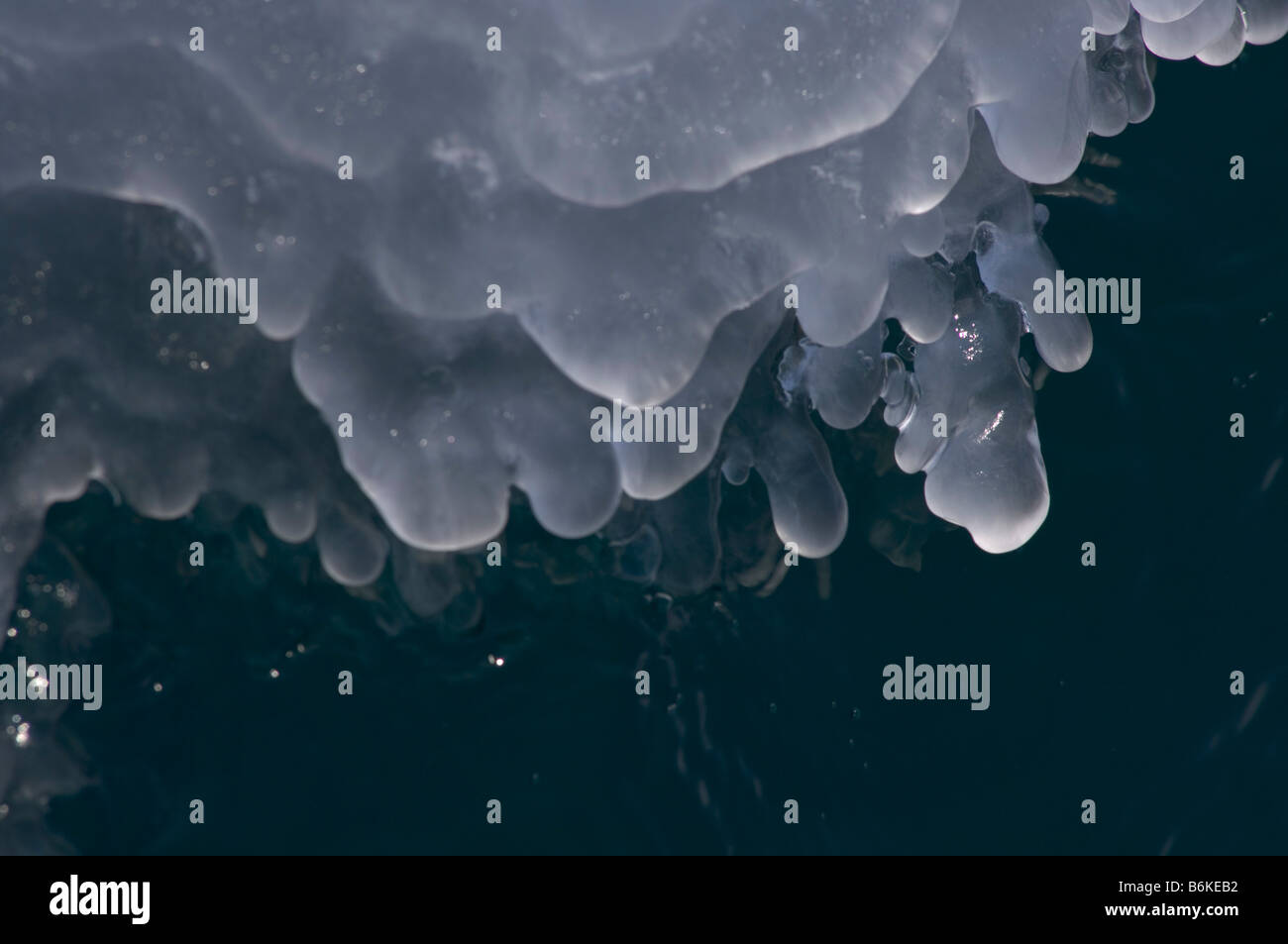 Detail of sea ice formation at the edge of an open lead in the pack ice ...