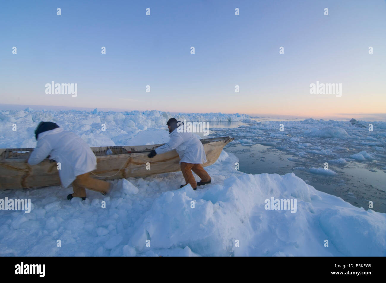 Inupiaq whaling crew pulls their seal skin boat or umiak on a sled to ...
