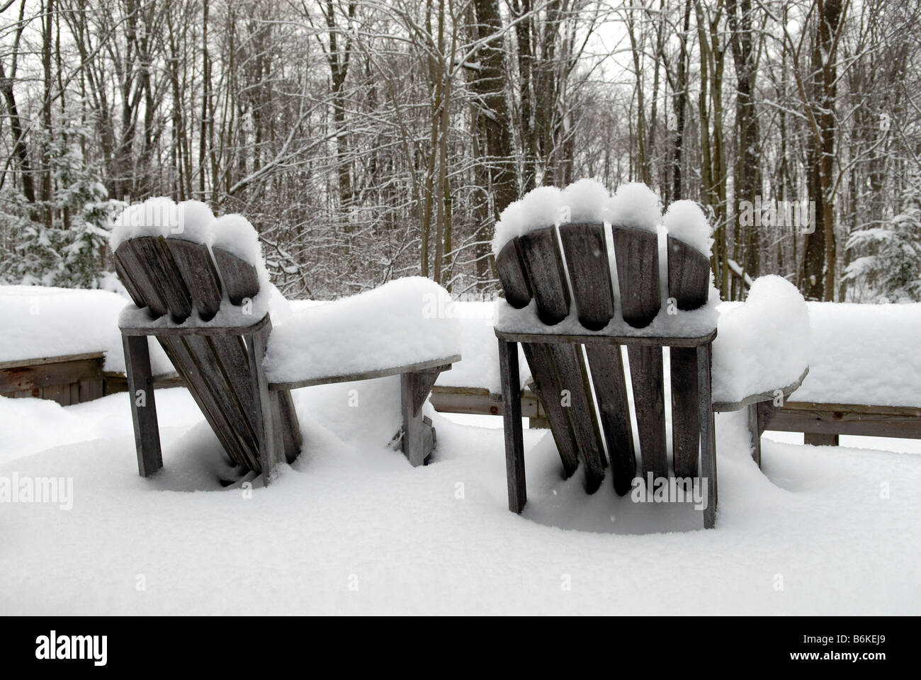 Winter scene, showing Muskoka/Adirondack chairs left out on summer ...