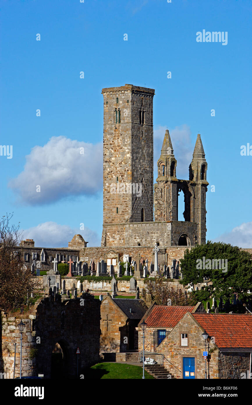 Regulus tower hi-res stock photography and images - Alamy