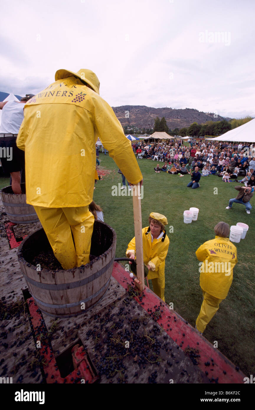 Grape Stomping Competition at Festival of the Grape, Oliver, BC ...