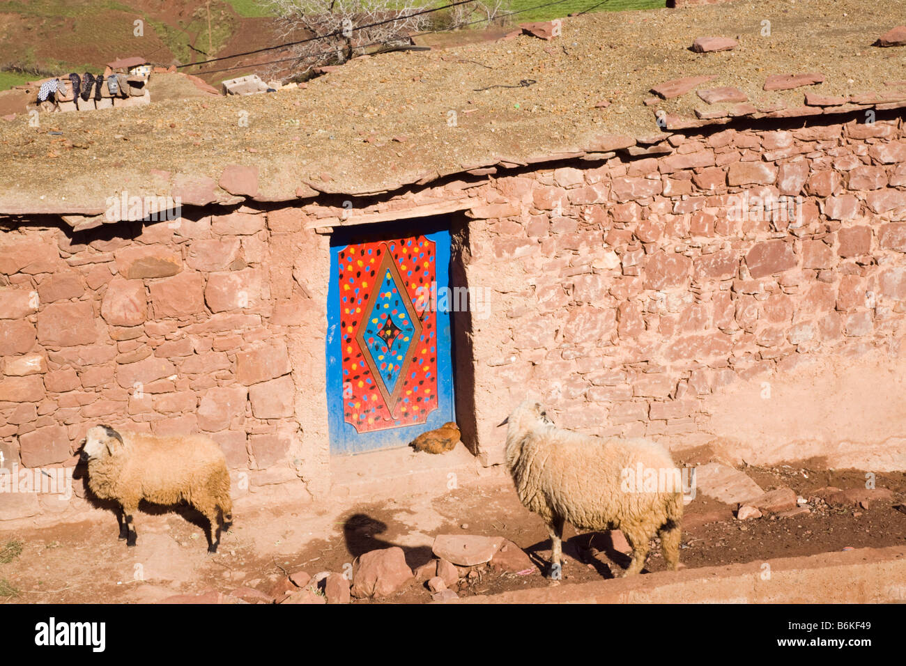 Farmhouse exterior sheep hi-res stock photography and images - Alamy