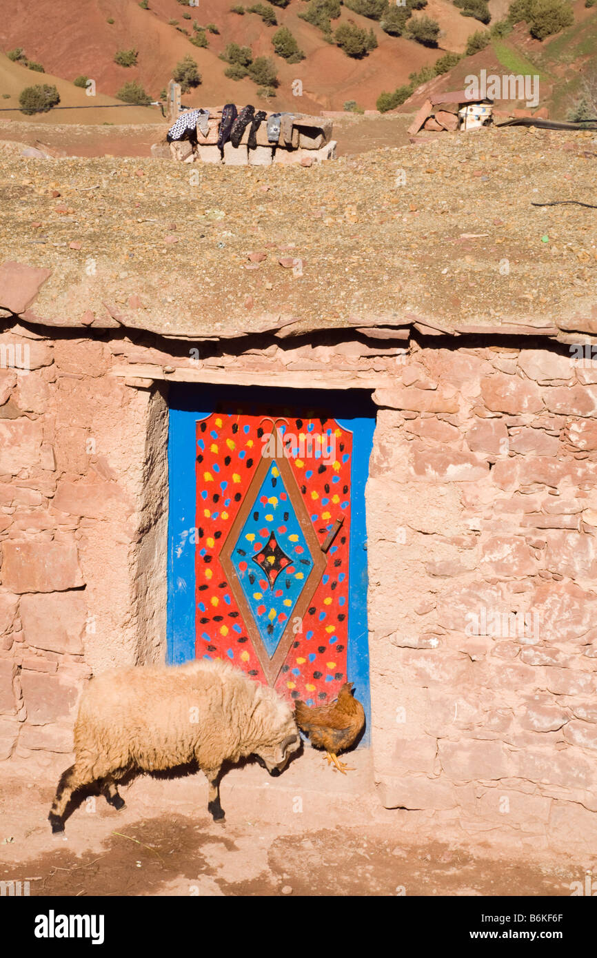 Sidi Faress Morocco December Traditional Berber house door and sheep ...