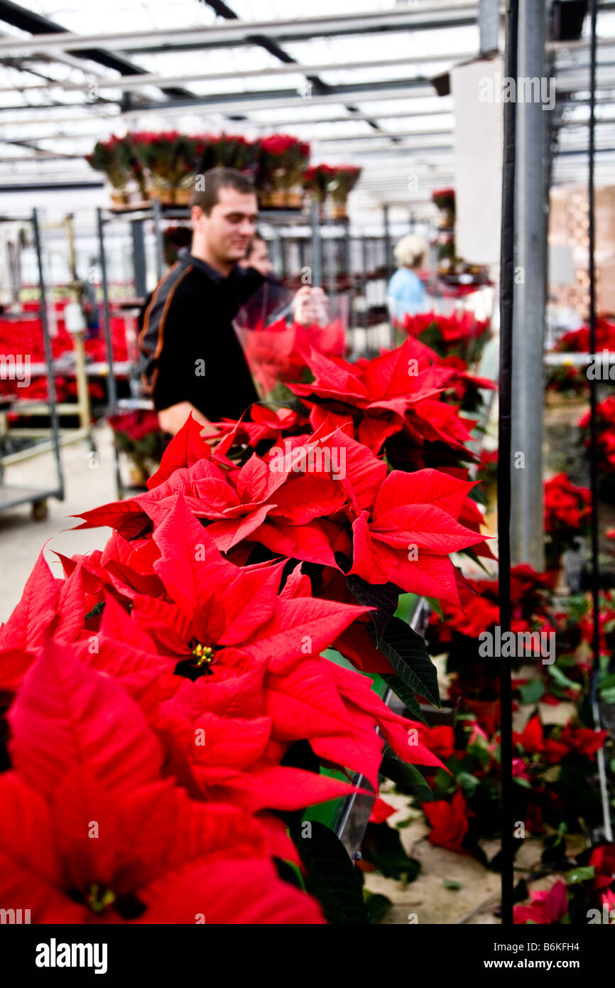 Packing plants hi-res stock photography and images - Alamy