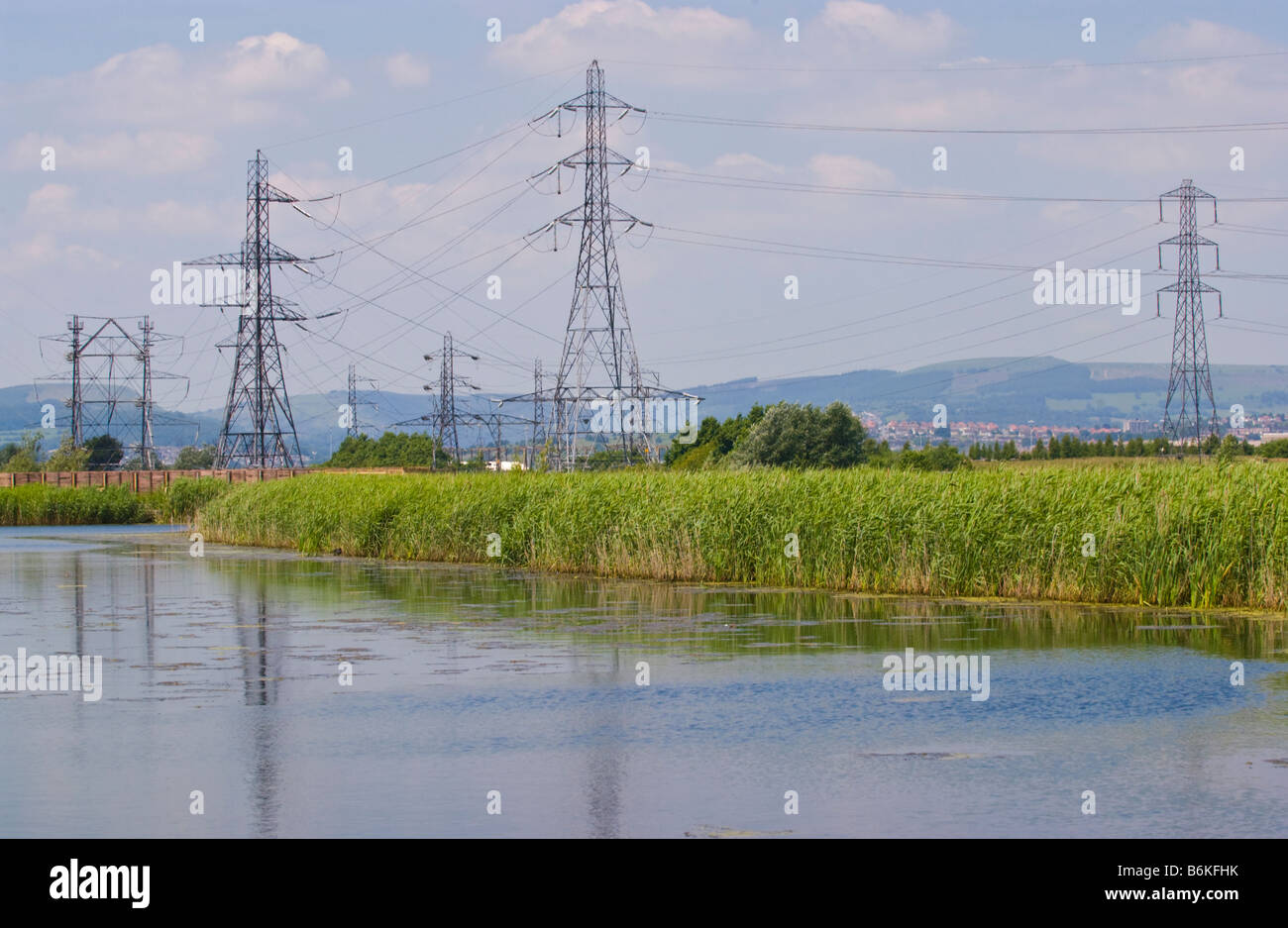 Newport wetlands nature reserve lagoon hi-res stock photography and ...