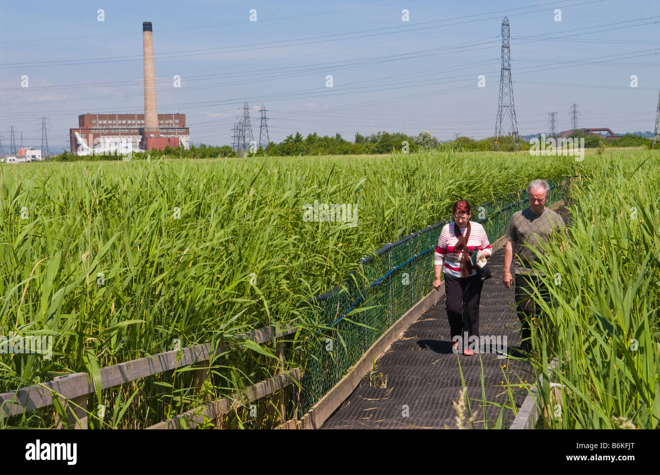 Visitors walk along a floating pontoon walkway crossing reed beds at ...