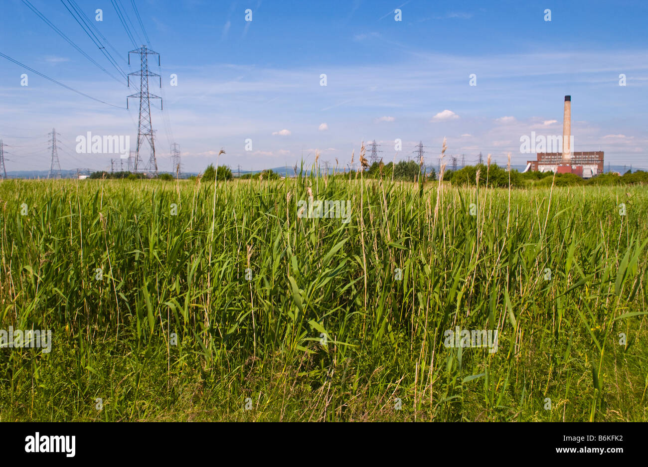 View over reed beds toward power station at Newport Wetlands National ...