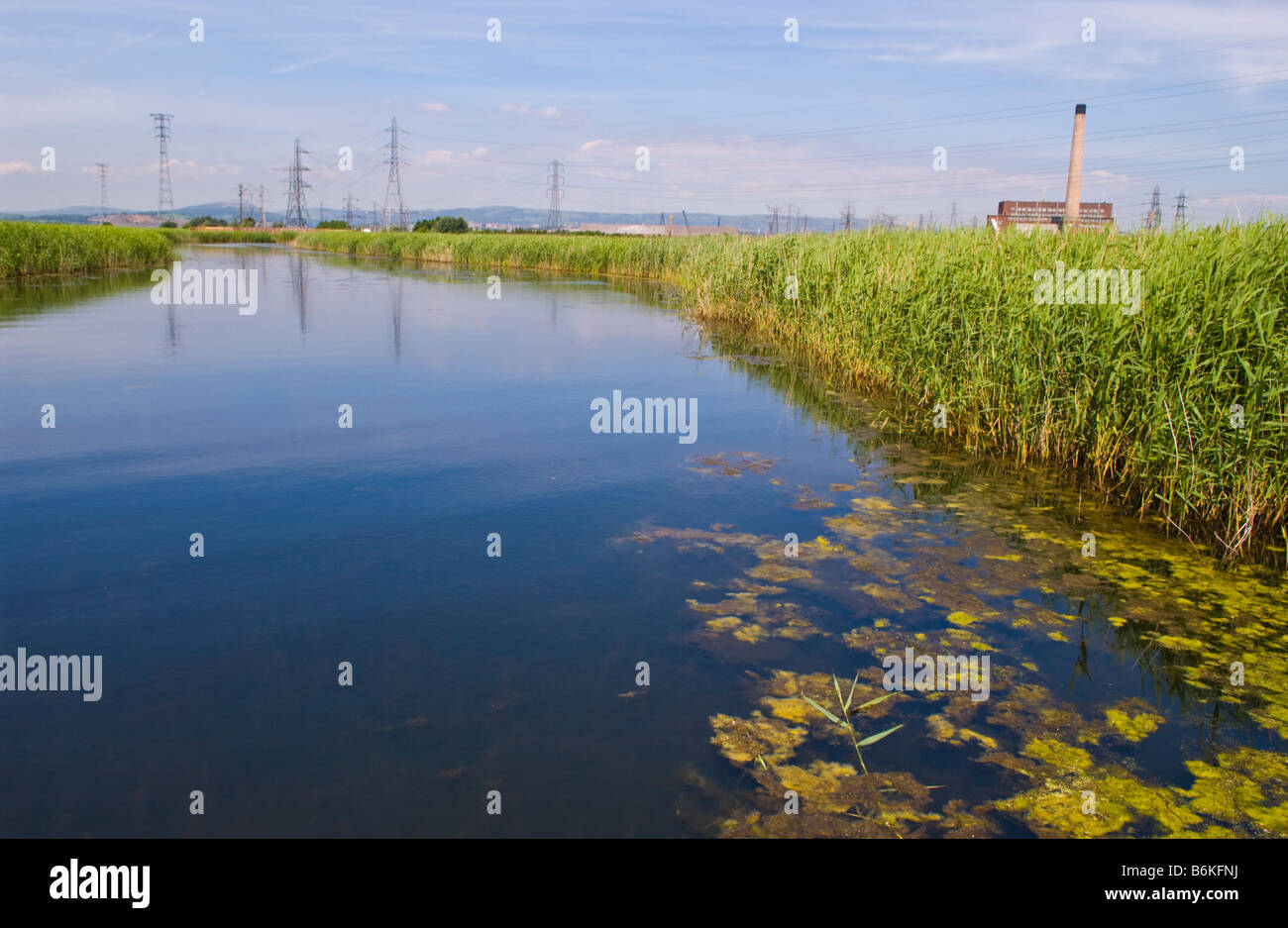 Lagoon and reed beds with power lines at Newport Wetlands National ...