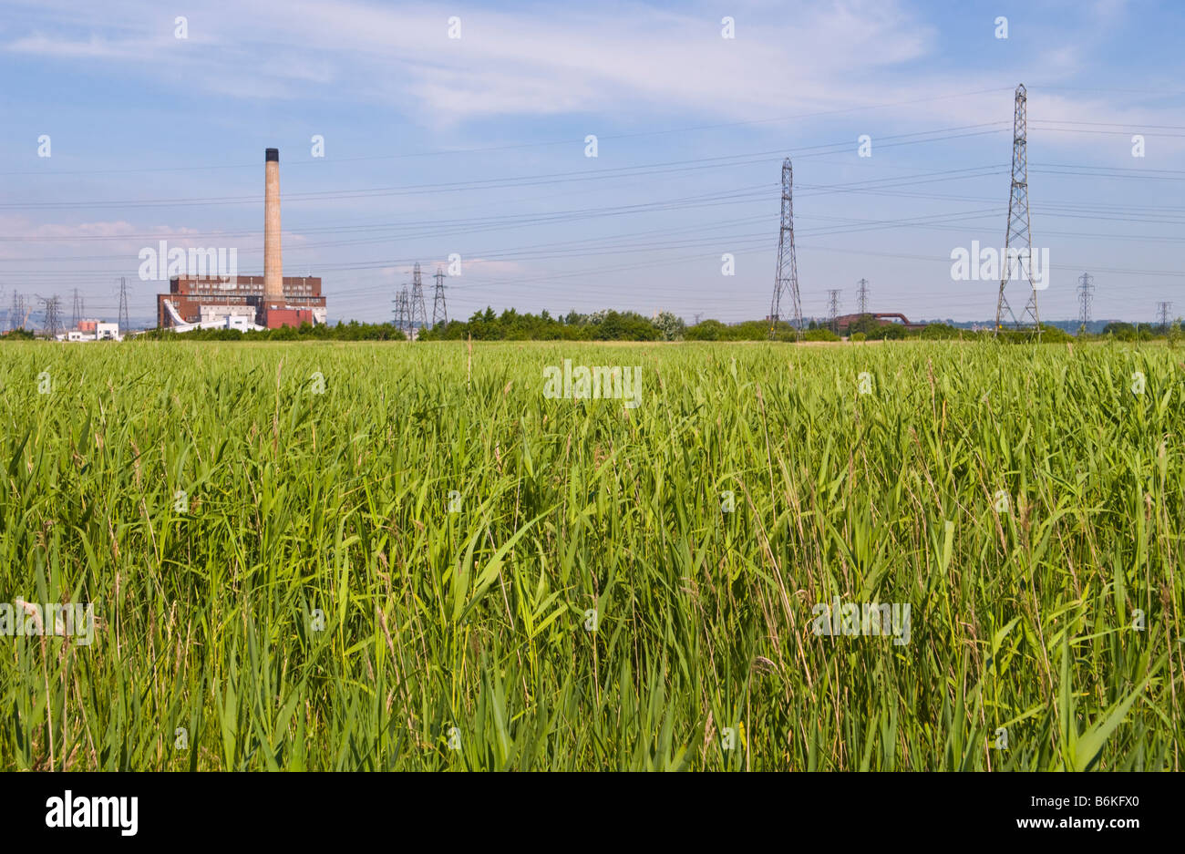 View over reed beds toward power station at Newport Wetlands National ...