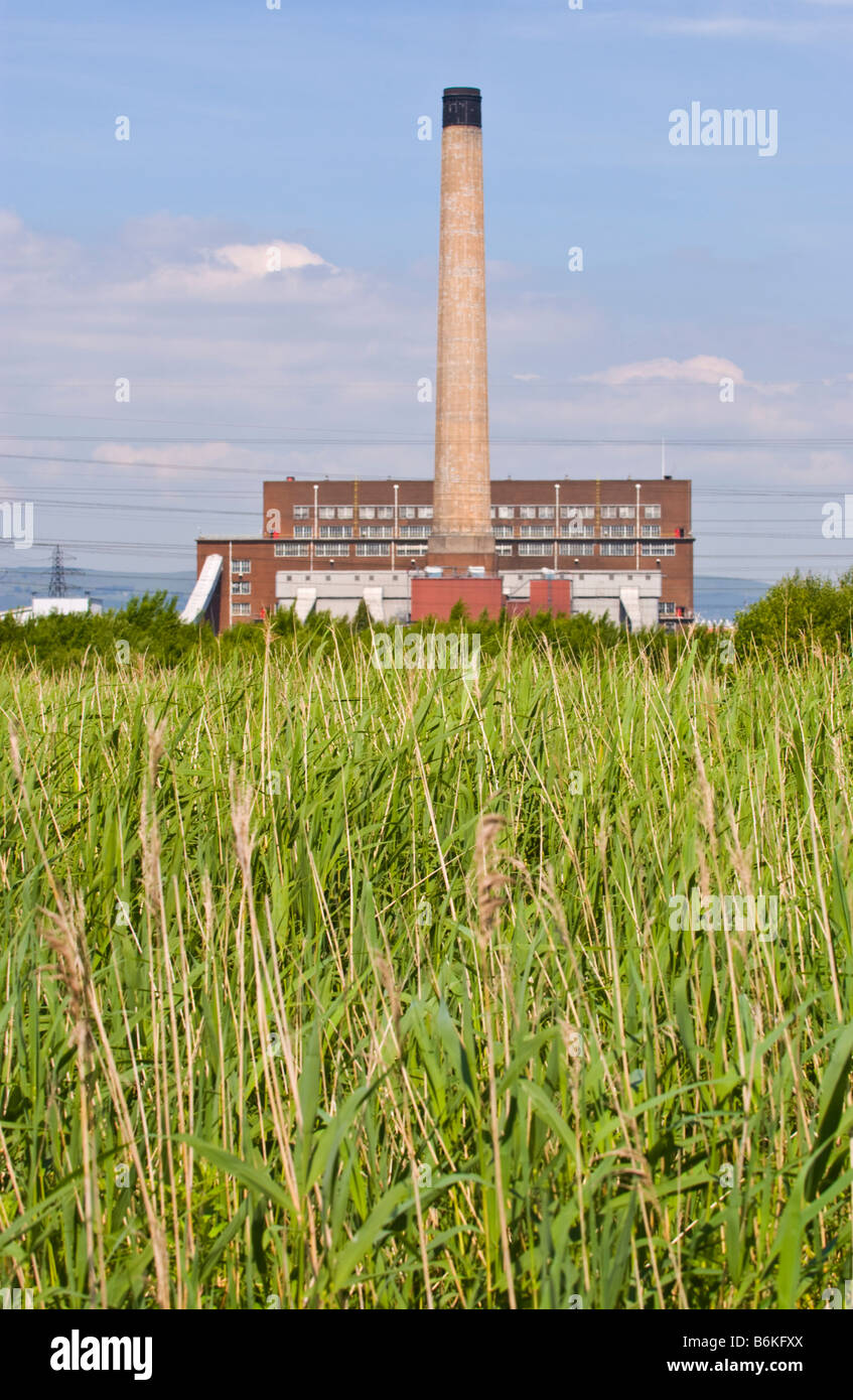 View over reed beds toward power station at Newport Wetlands National ...