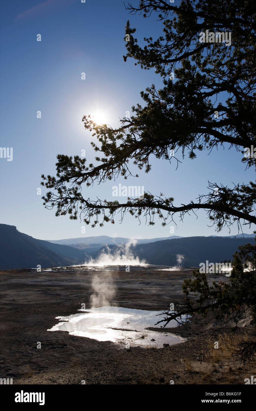 Main Terrace, Mammoth Hot Springs, Yellowstone National Park; Wyoming ...