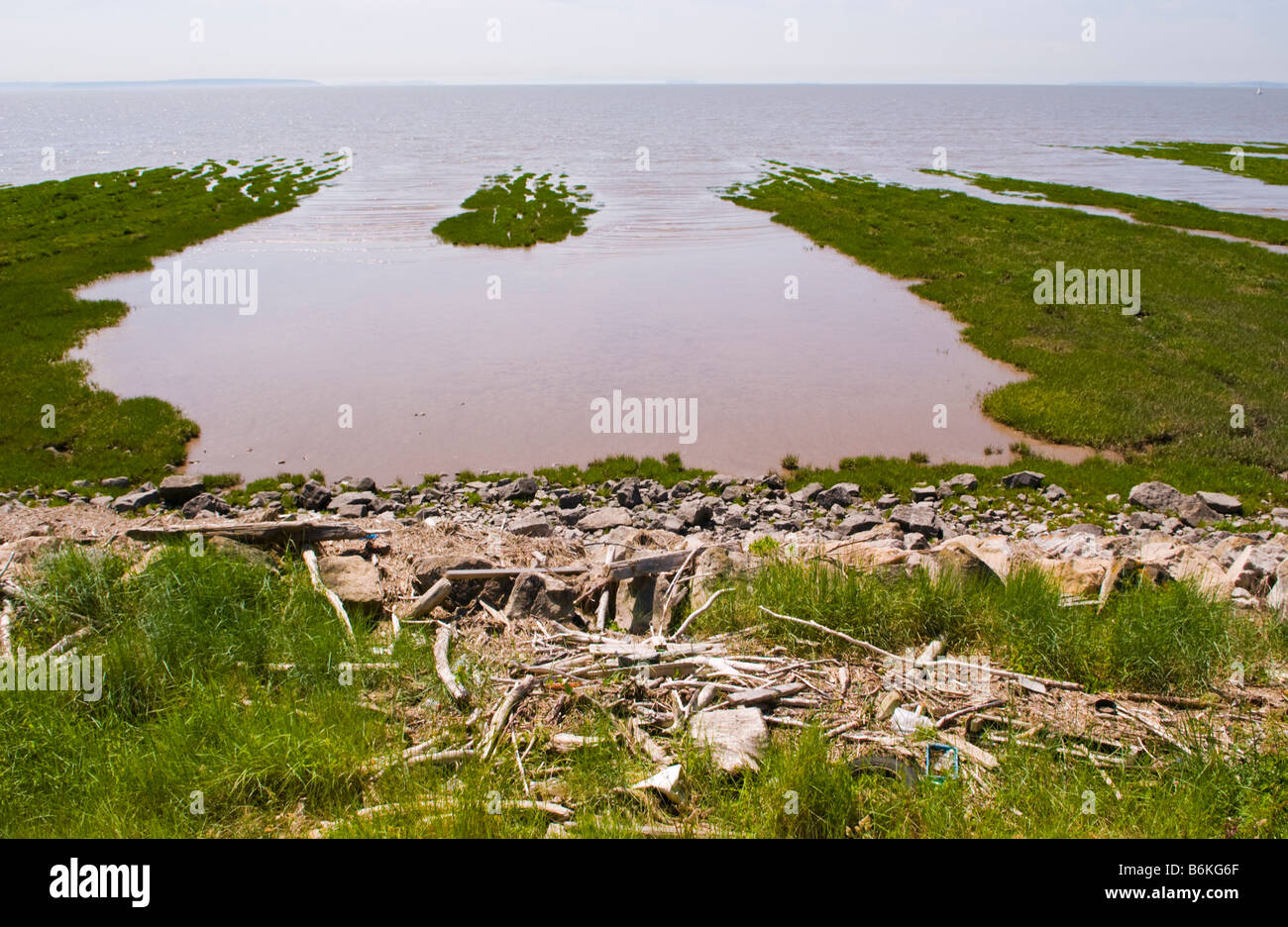 Reed beds system hi-res stock photography and images - Alamy